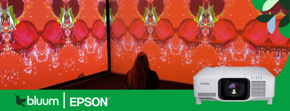 Unlock the Benefits of Calming Spaces in Your School: Epson Projectors for School Calming Rooms